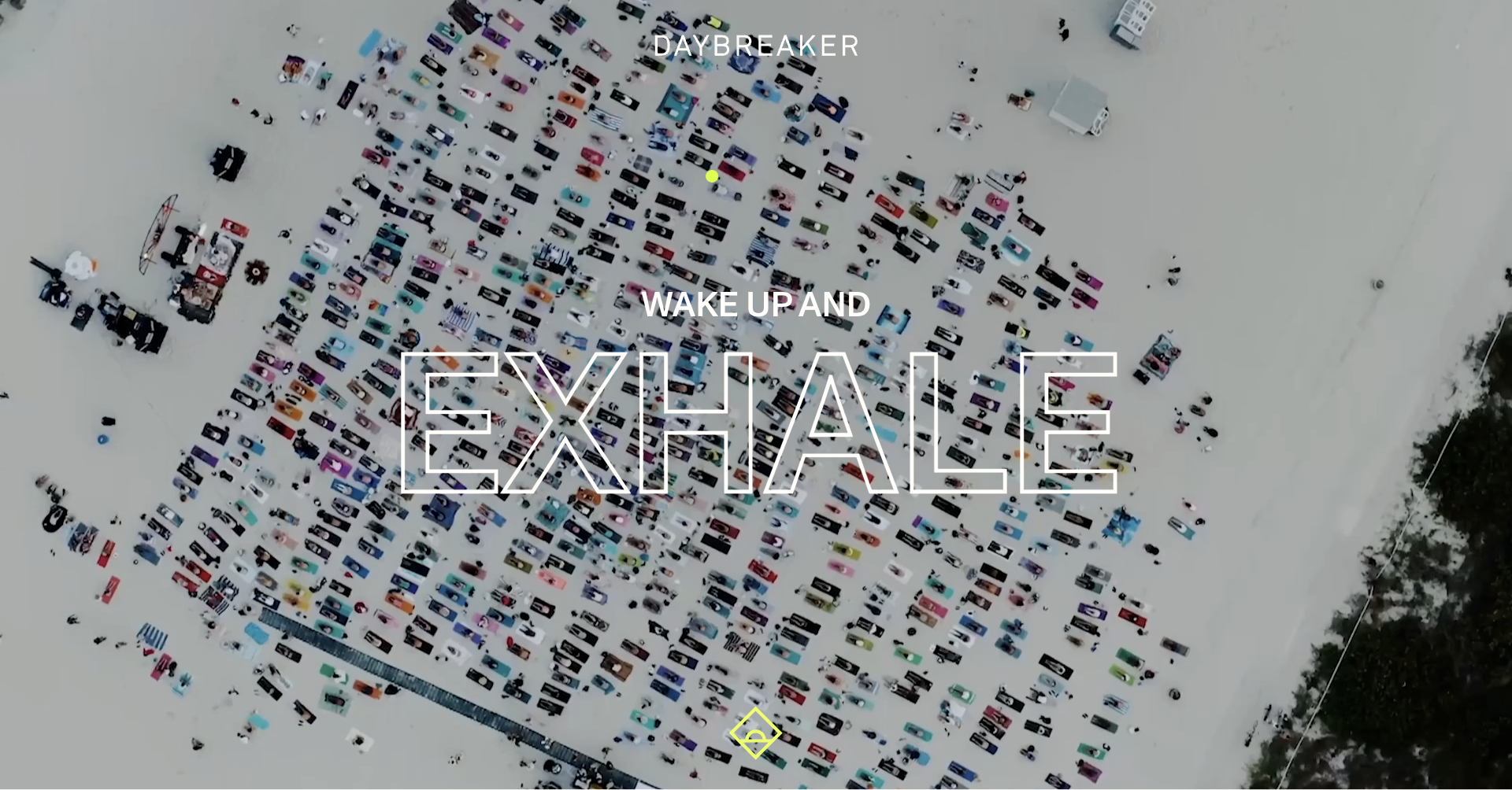 Wake Up & Dance Website – Pickselverse